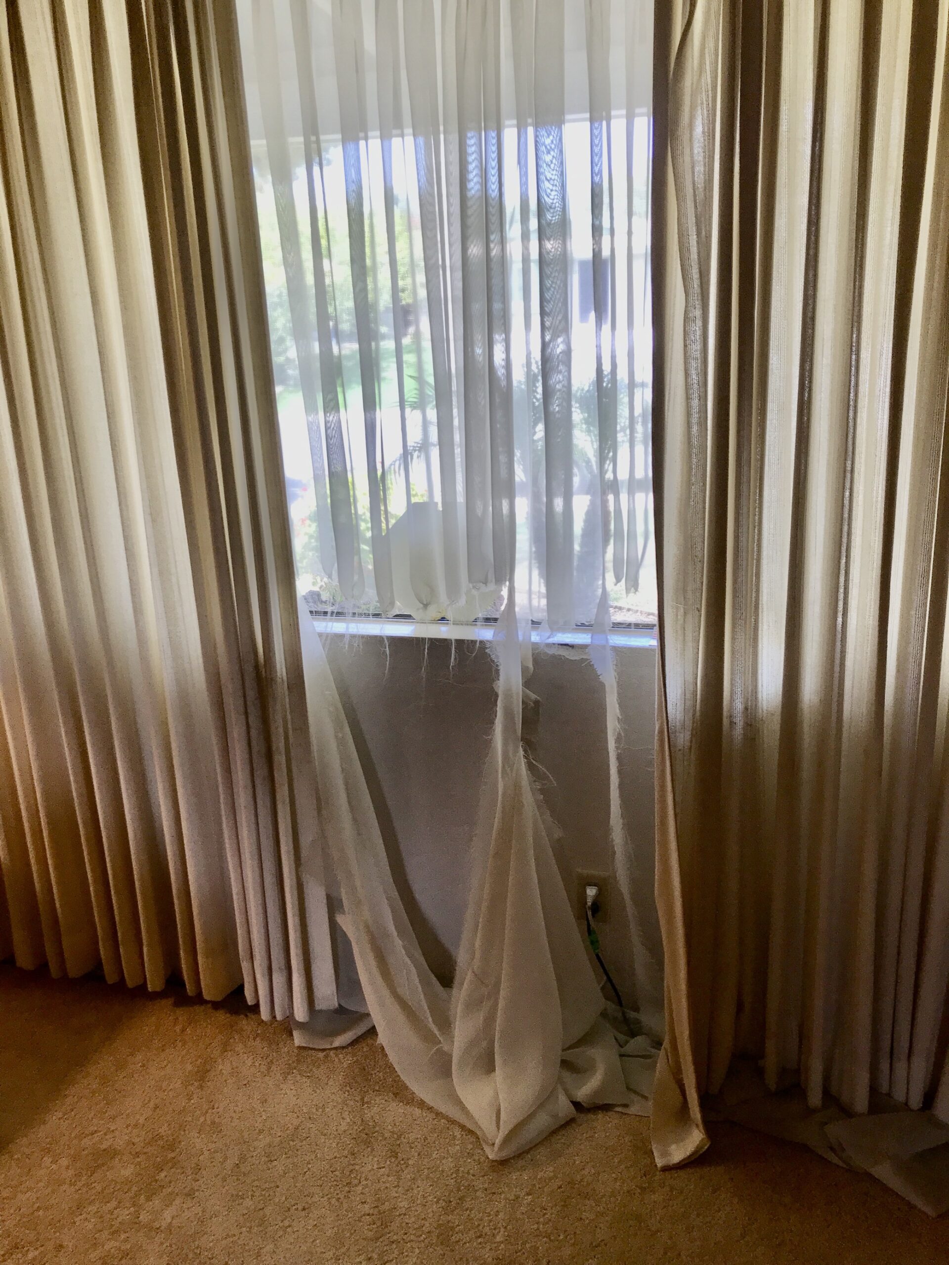 How to Choose Pet-Friendly Window Coverings to Keep Pets Safe | Los ...